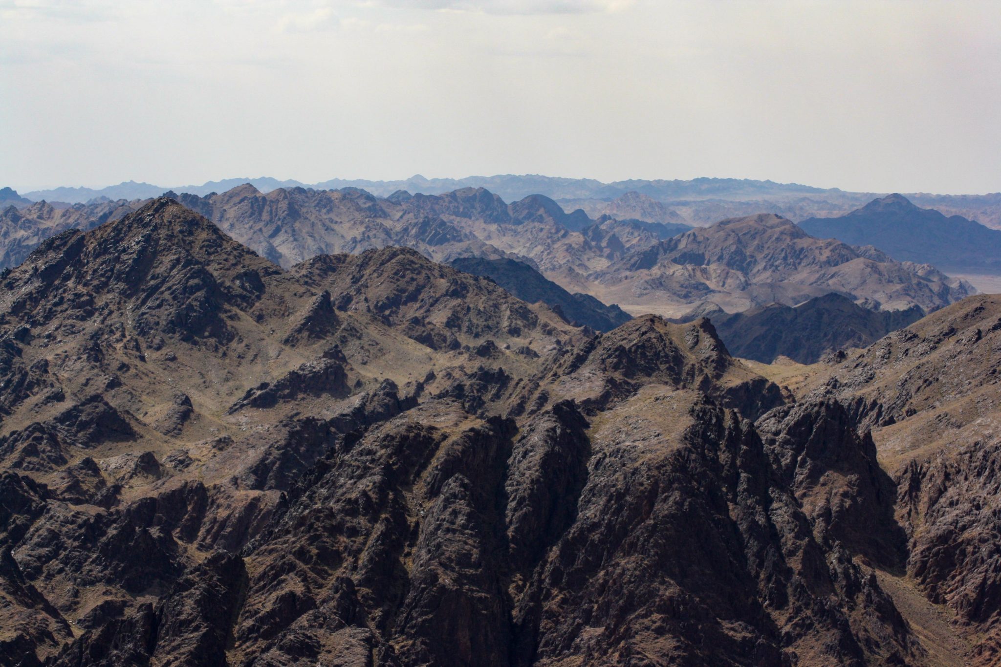 The Gobi Bear | Big Mongolia Travel